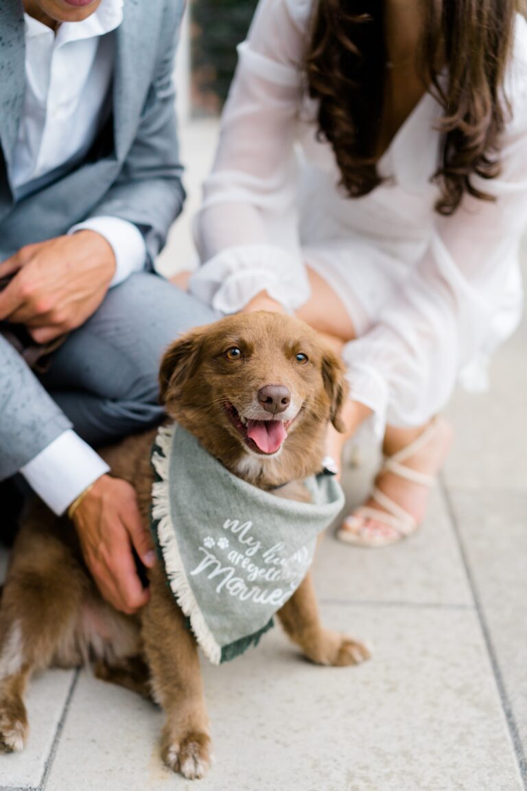 Including Your Dog in Your Engagement Photos | PA Engagement Photographer